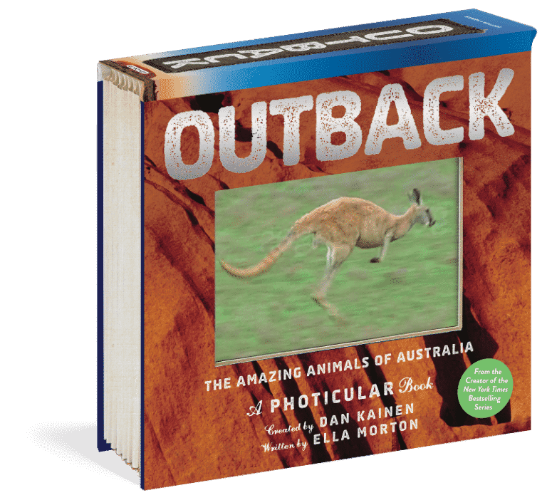 Outback: The Amazing Animals of Australia - Novita Gifts